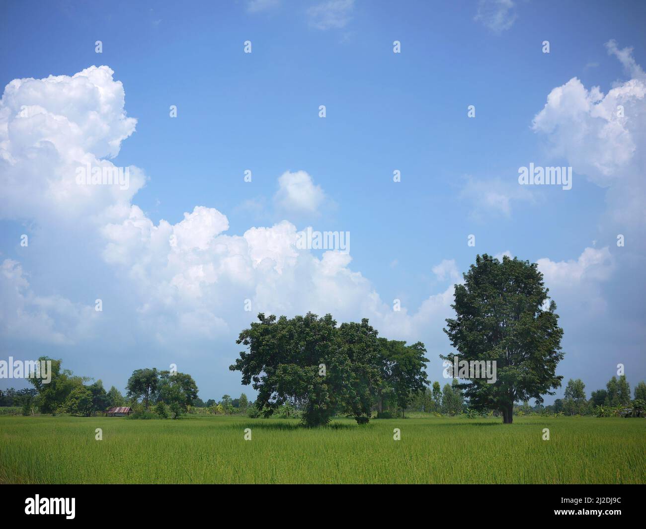 Wallpaper of green landscape and blue sky bright vibrant colors Stock ...