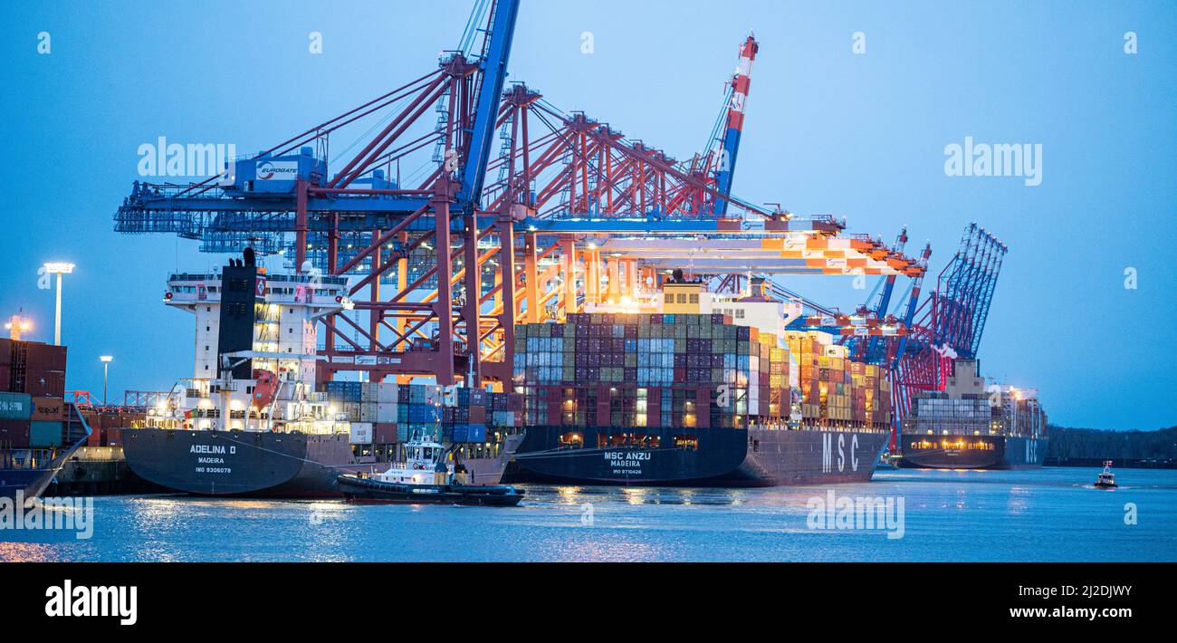Msc anzu hi-res stock photography and images - Alamy