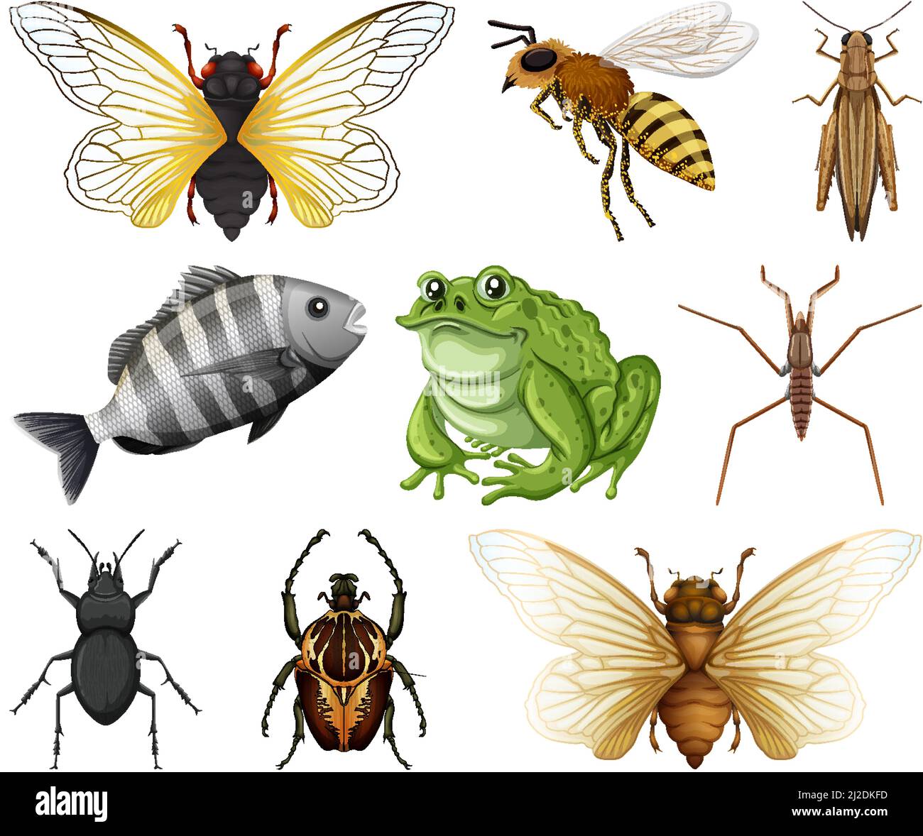 Different kinds of insects and animals on white background illustration ...