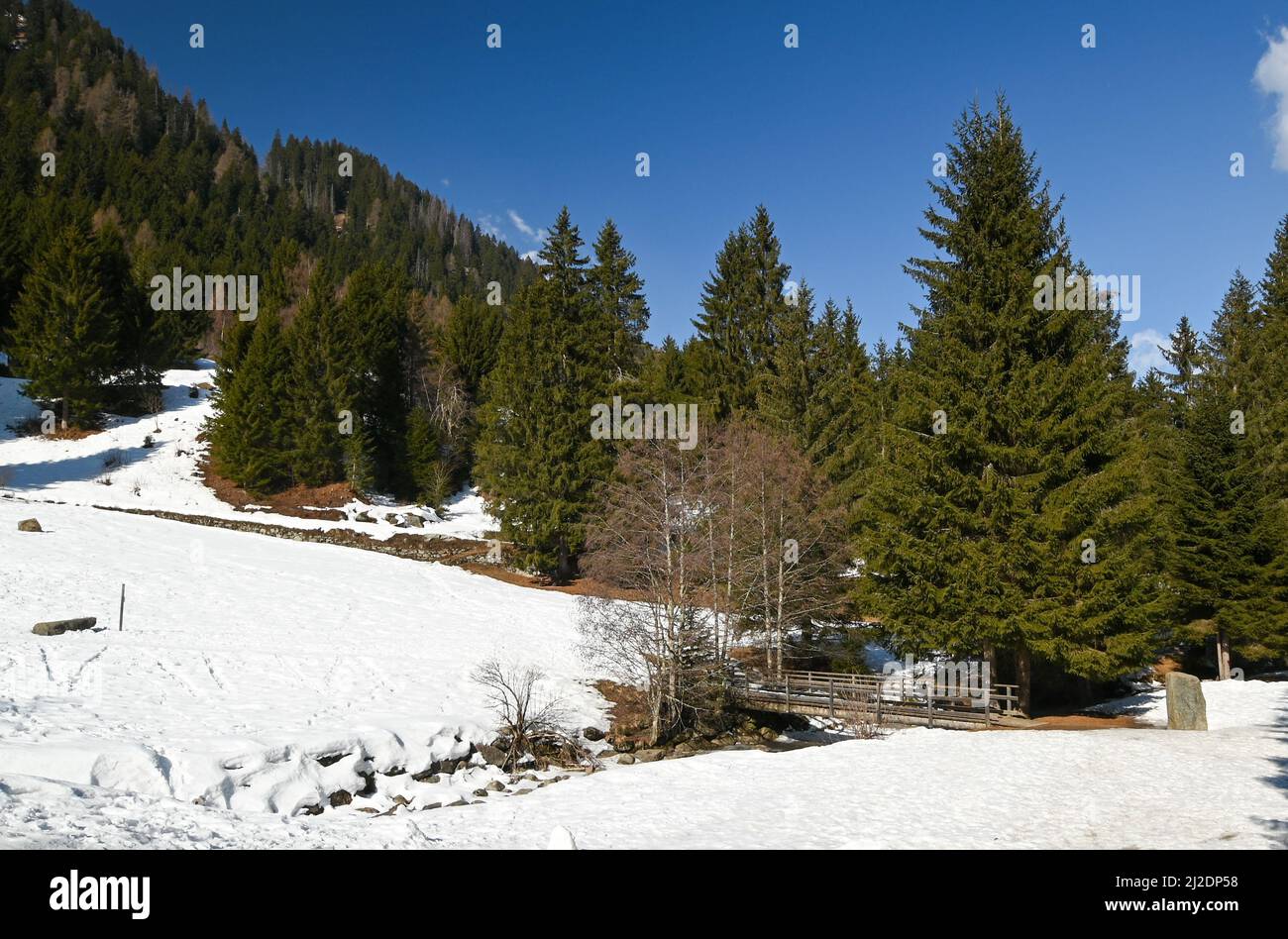 Beautiful view of Lago dei Caprioli Stock Photo - Alamy