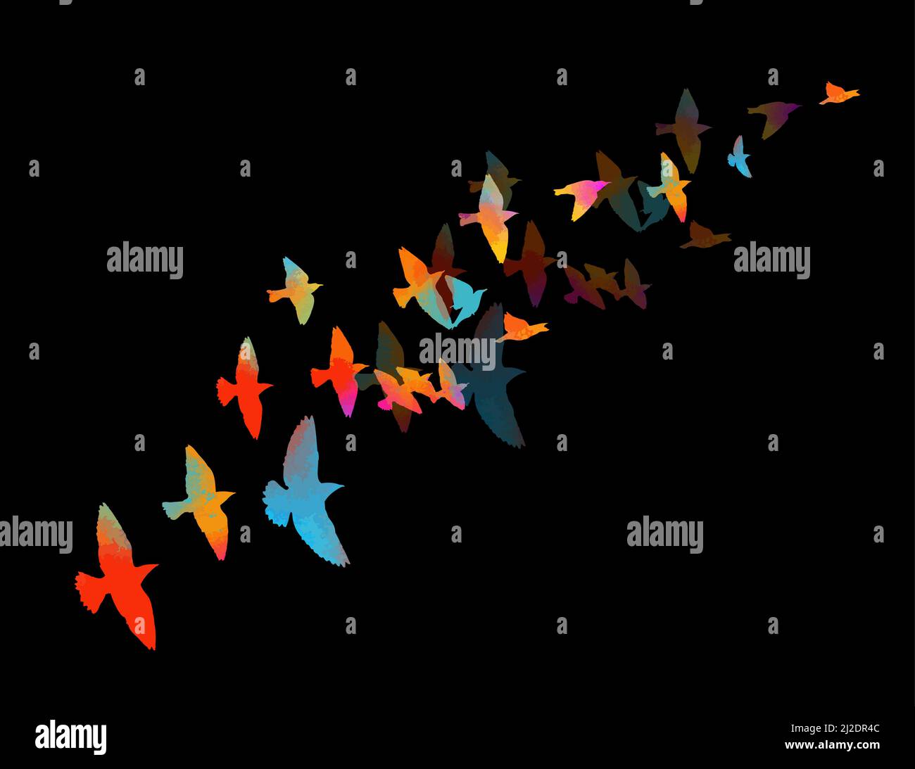 Multi-colored birds. A flock of colorful birds at night. On a black ...
