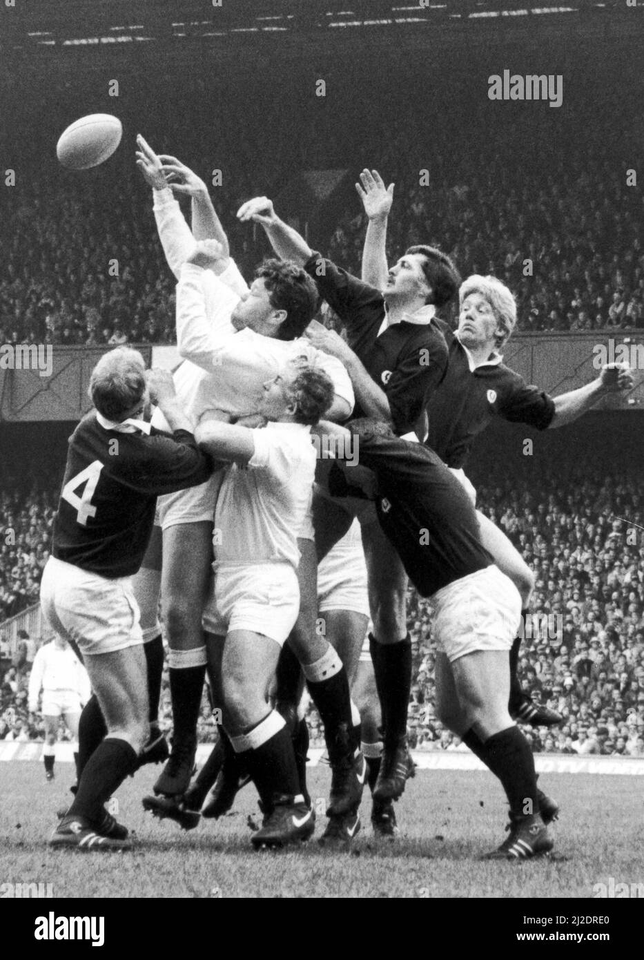 Calcutta cup 19th century hi-res stock photography and images - Alamy