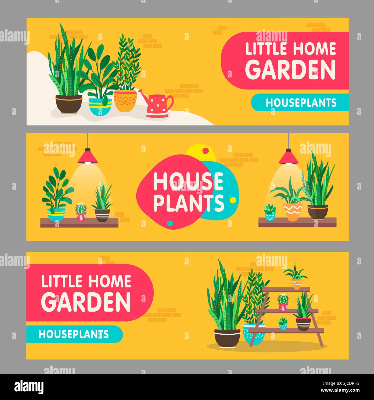 Home plants banners set. Houseplants with pots on shelves vector ...