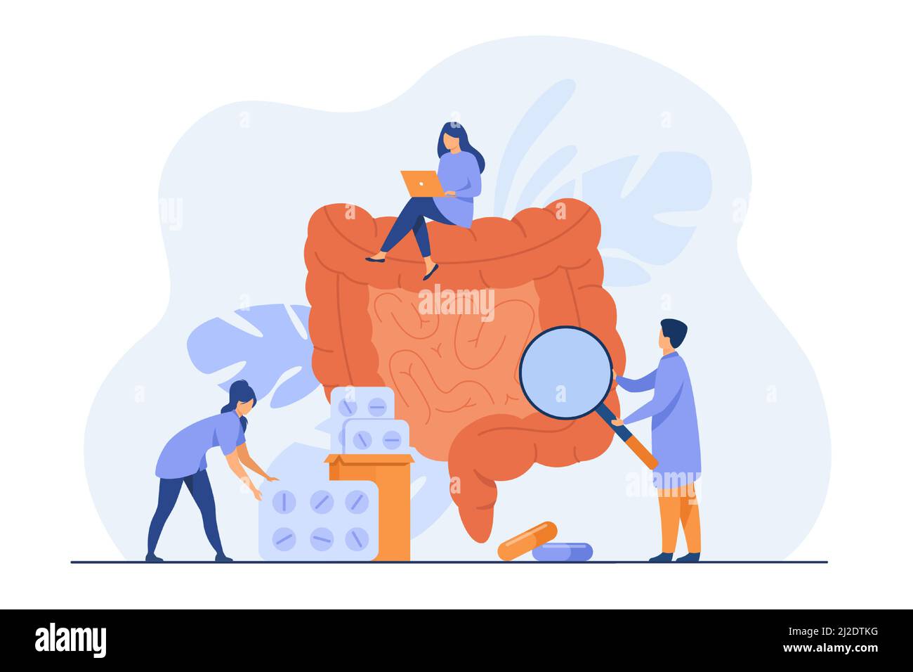 Tiny doctors checking and treating large intestine isolated flat vector ...