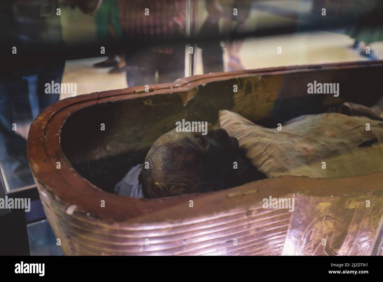 Ancient Mummy in Sarcophagus from the from permanent exhibition of the ...