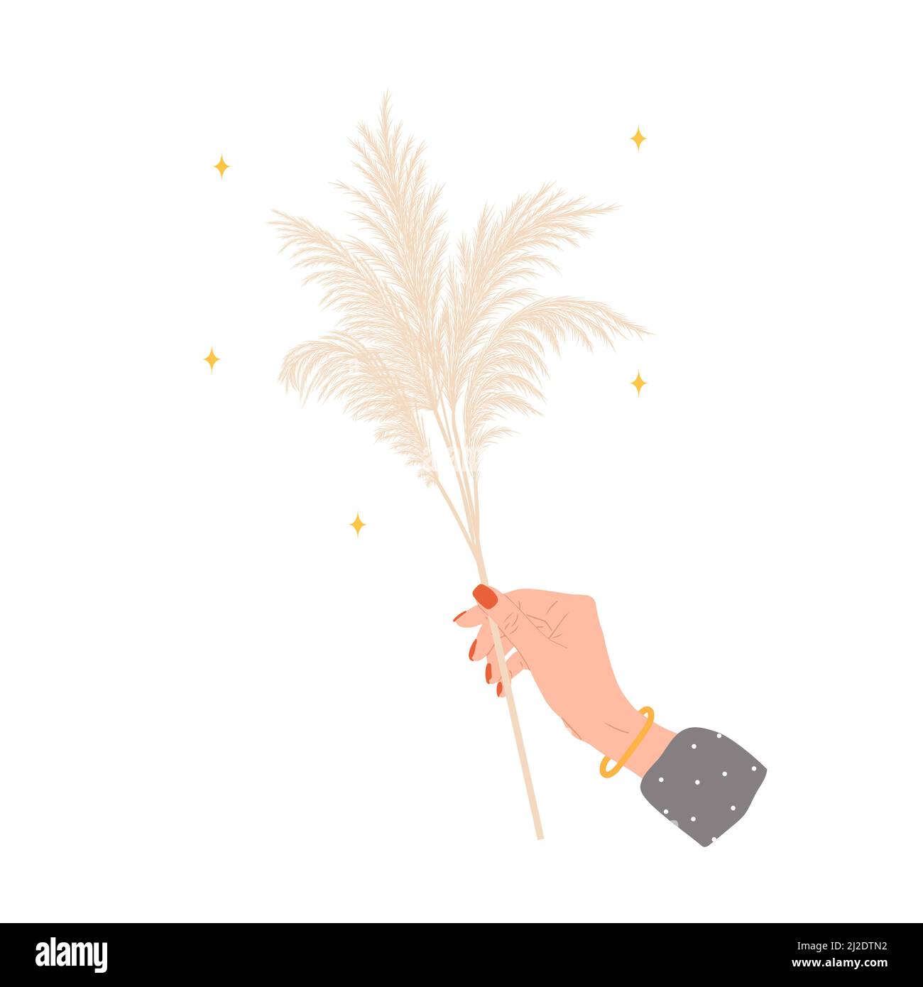 Dry dry grass Stock Vector Images - Alamy