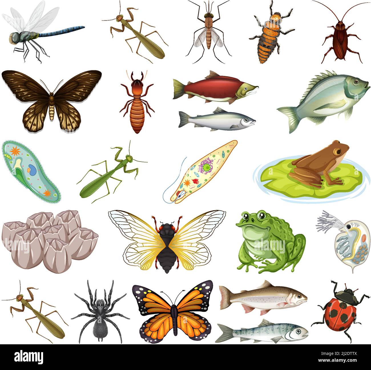 Different kinds of insects and animals on white background illustration ...