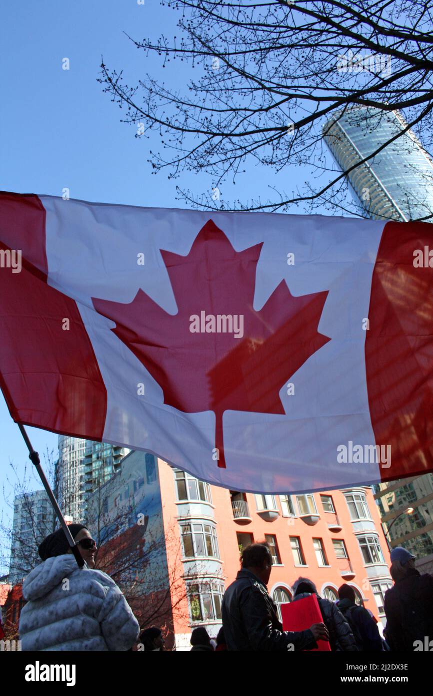 A vertical shot of a person holding the Canadian flag in the street on ...