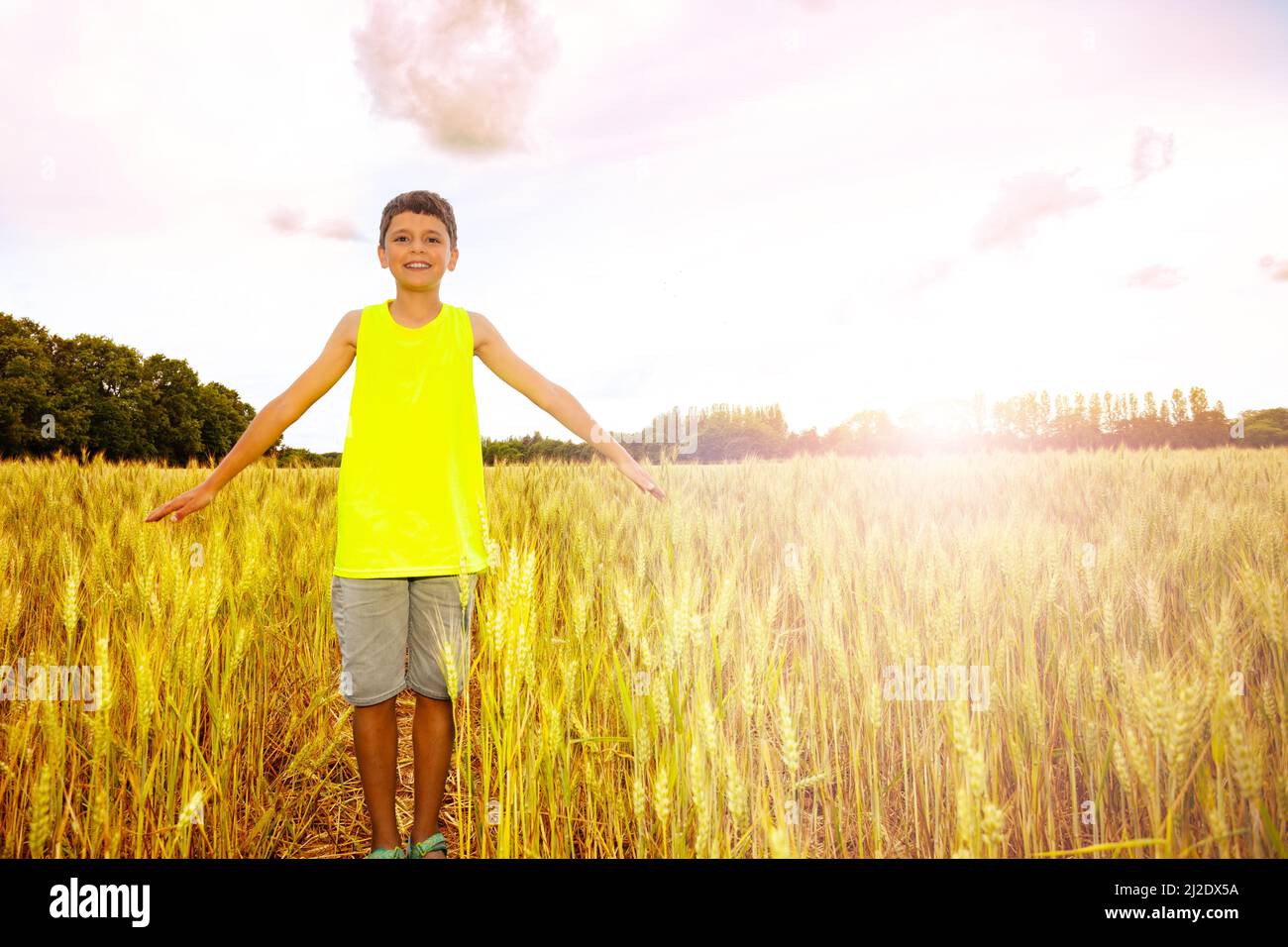Stand of wheat hi-res stock photography and images - Alamy