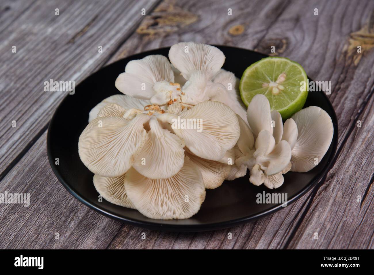 Masroom hi-res stock photography and images - Alamy