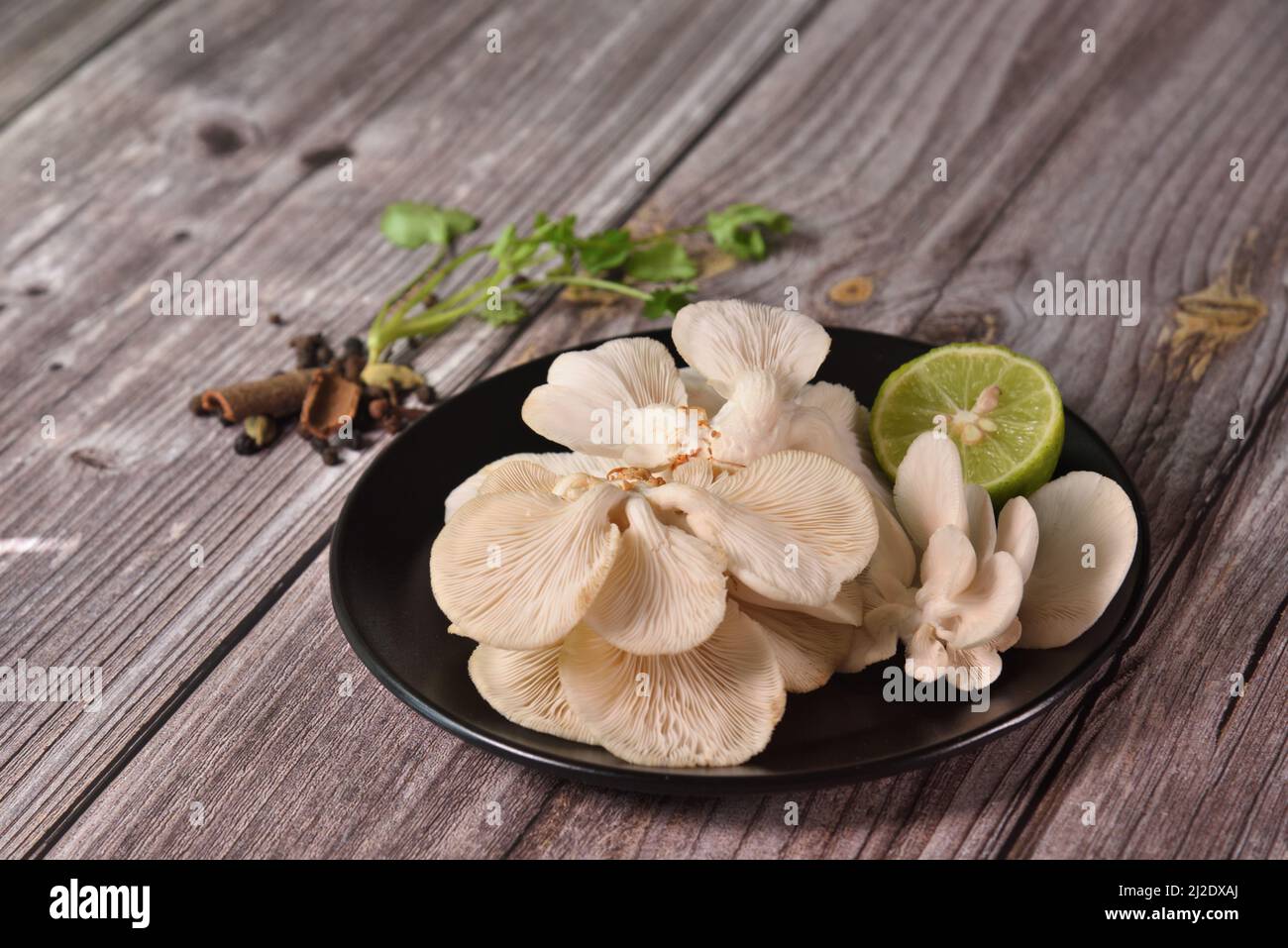Masroom hi-res stock photography and images - Alamy