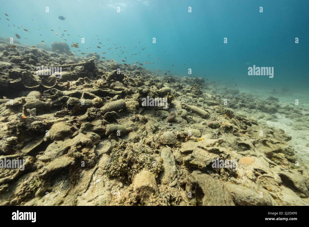 Seascape with trash, waste, garbage in the coral reef in the Caribbean ...