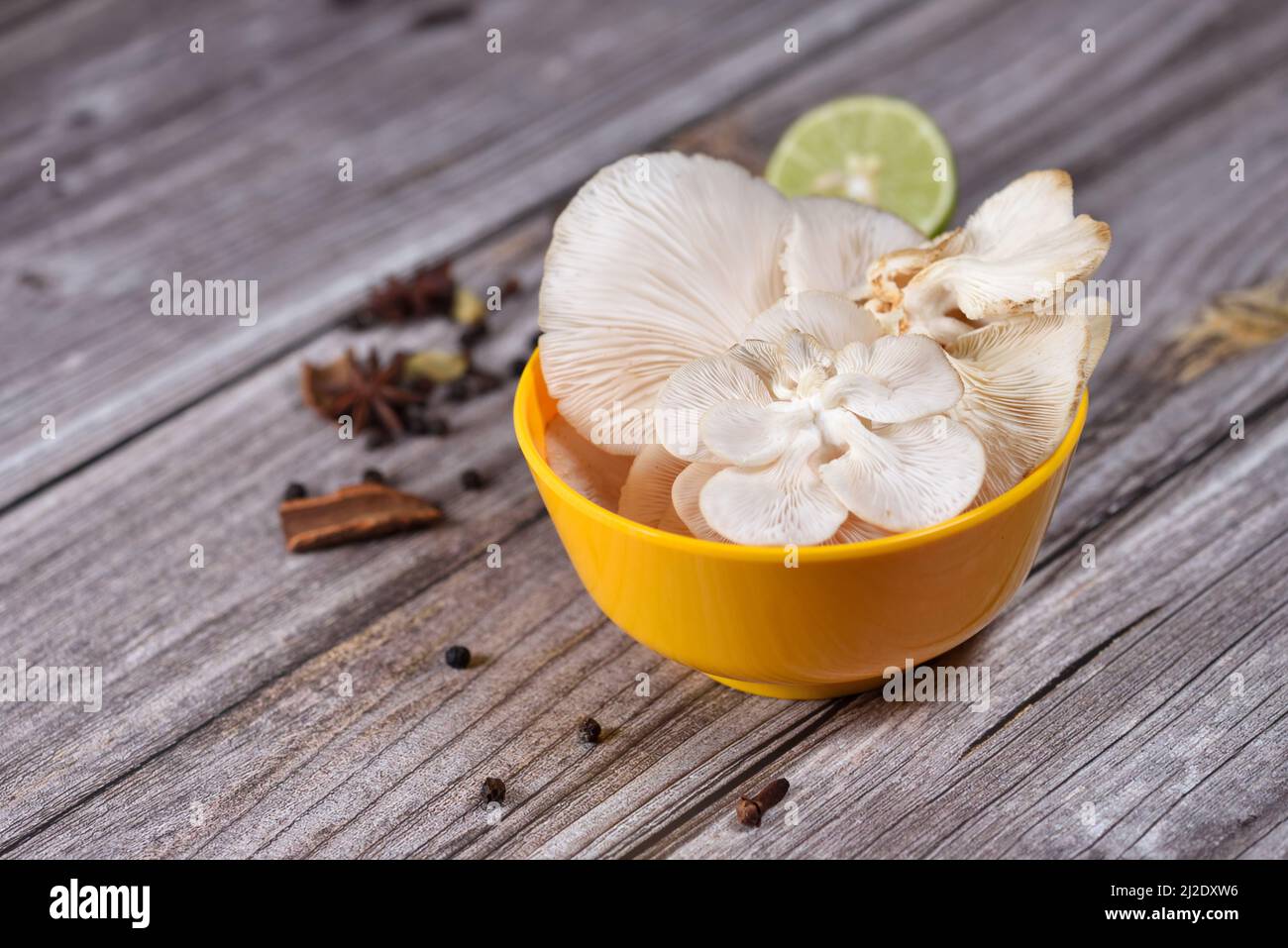 Masroom hi-res stock photography and images - Alamy