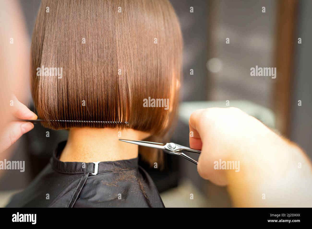Long Bob Haircut Back View