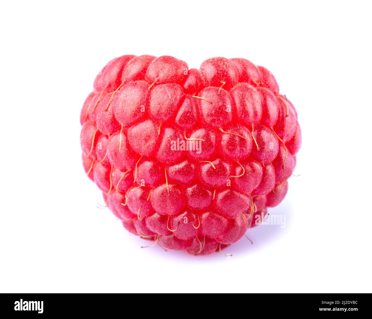 Single ripe raspberry macro close up isolated on white background Stock ...