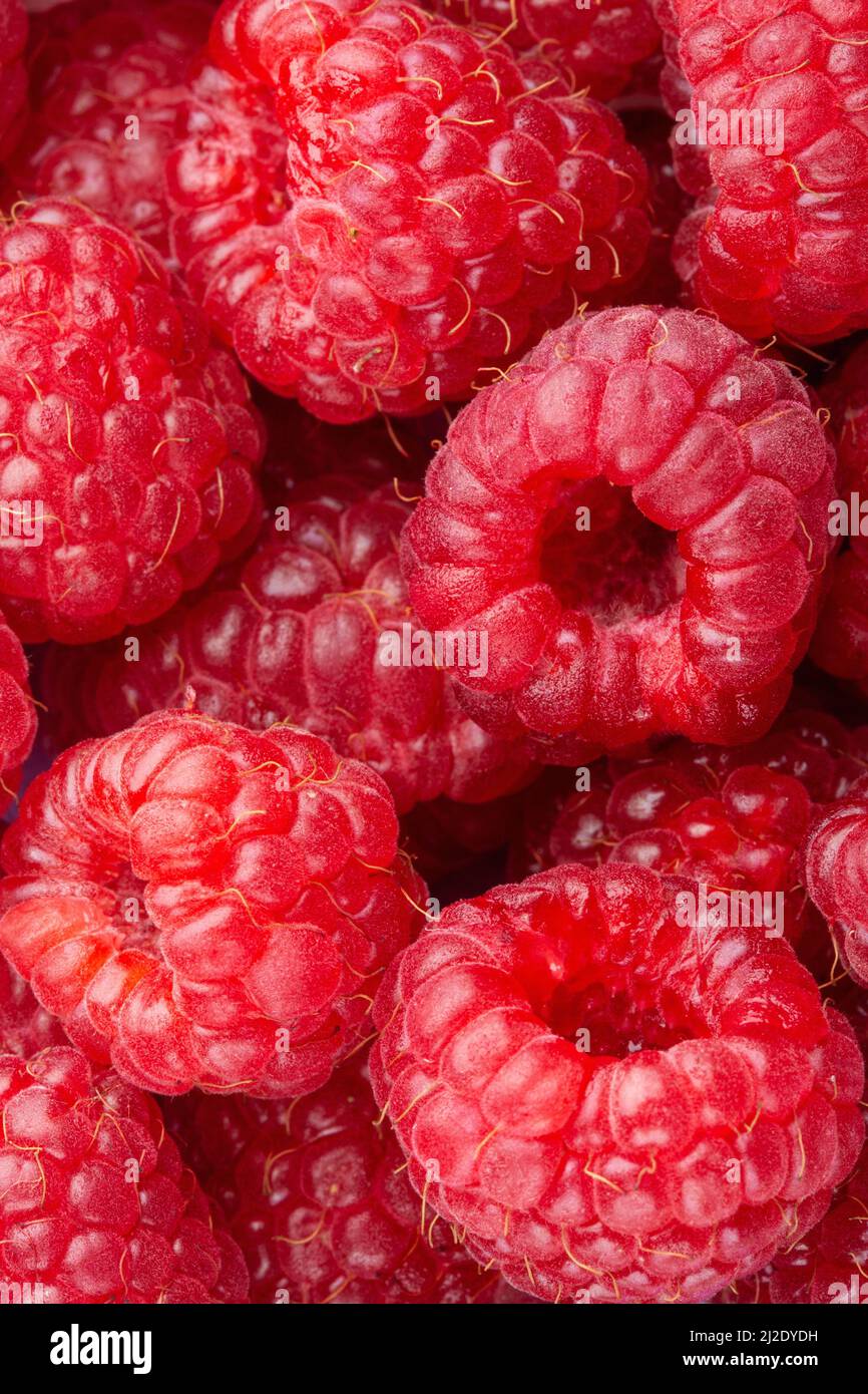 Raspberries background hi-res stock photography and images - Alamy