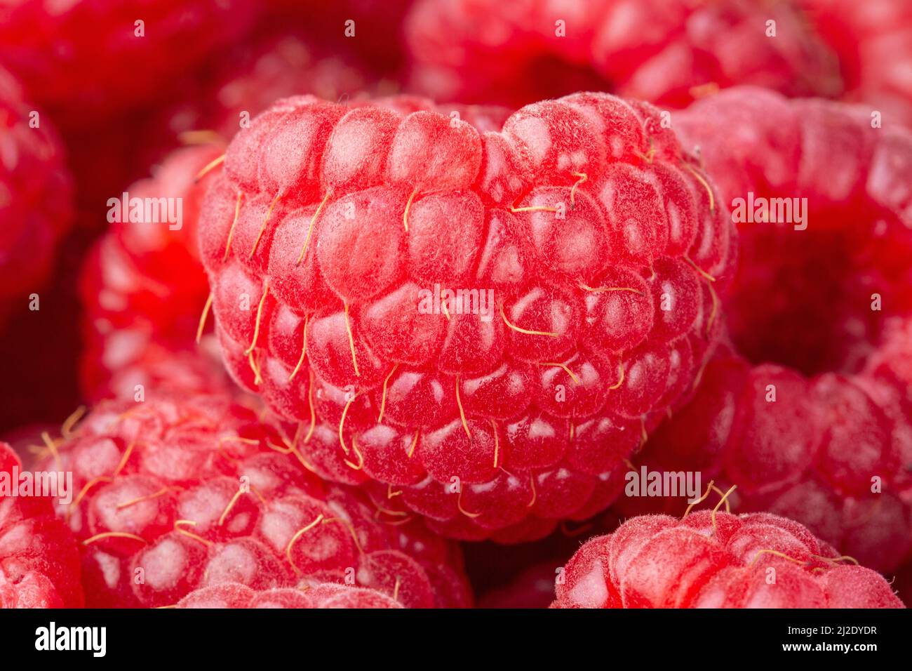Raspberries background hi-res stock photography and images - Alamy