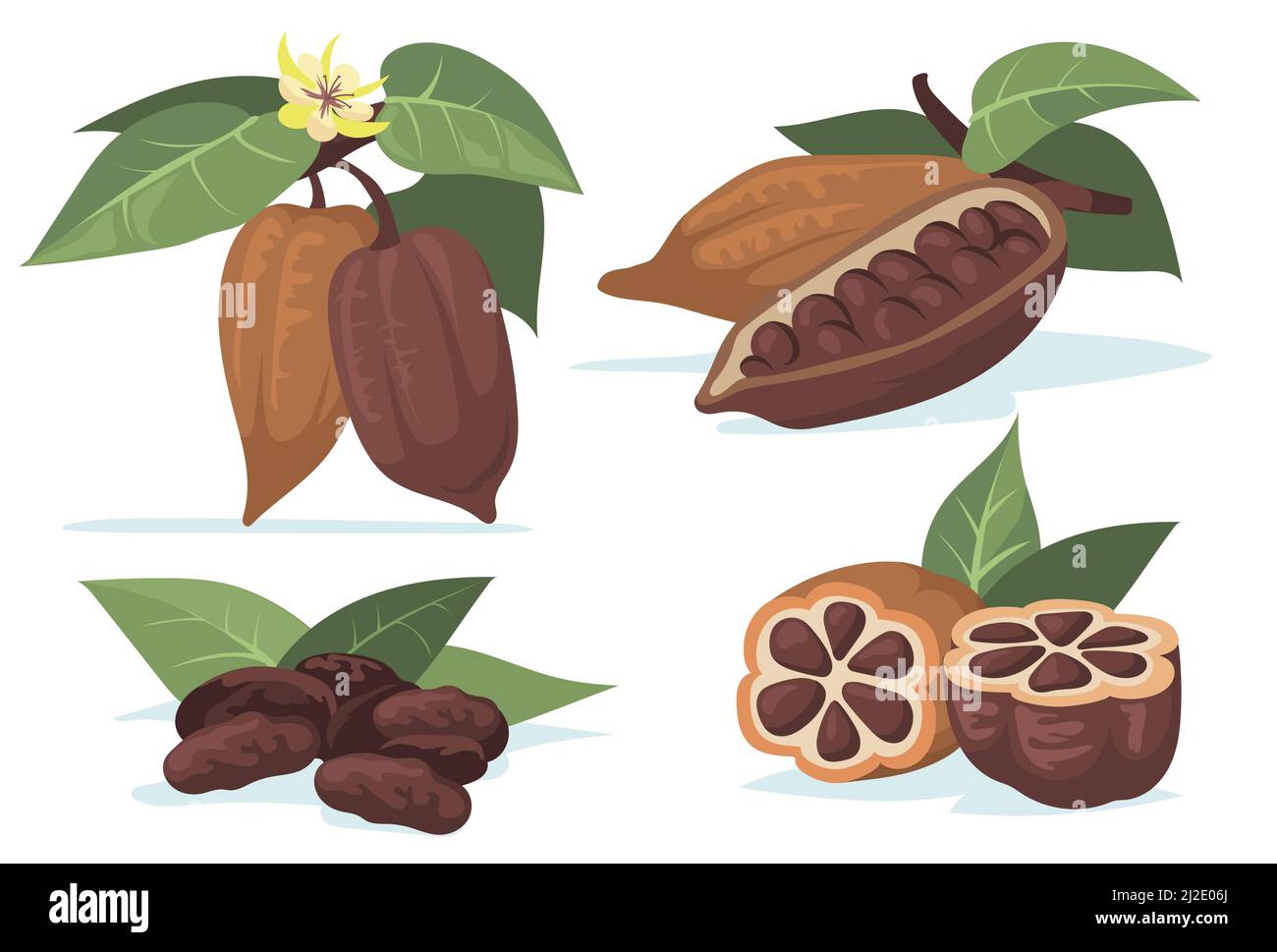 Colorful cocoa beans flat illustration set. Cartoon chocolate beans ...
