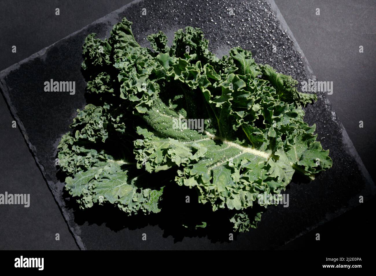 Cabbage. Curly green leafy cabbage on a dark background with water ...