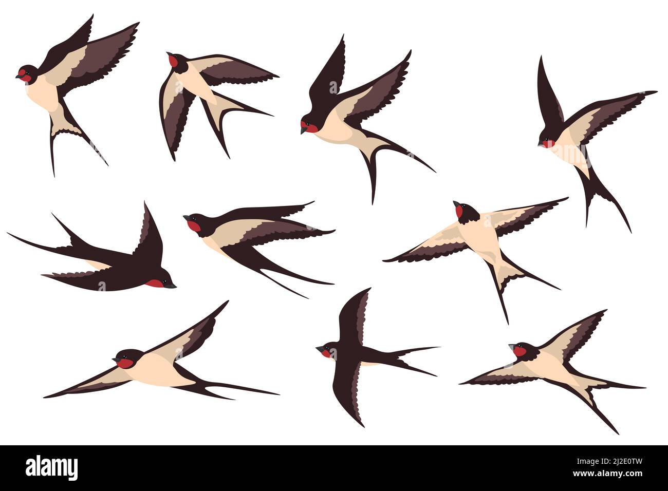 Colorful flying swallows flat illustration set. Cartoon birds flock in ...