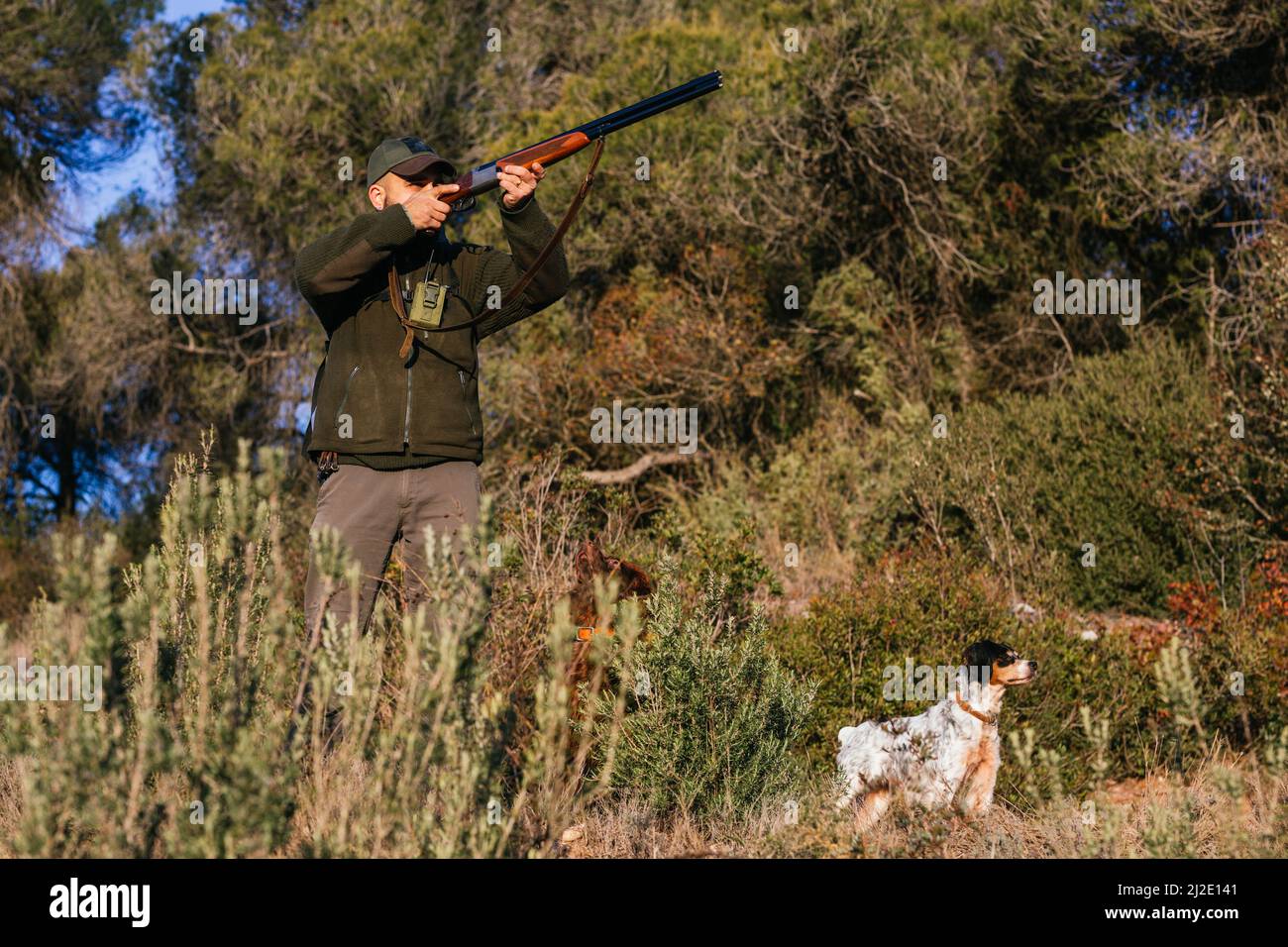 Male hunter shooting from gun during hunt with dog Stock Photo - Alamy