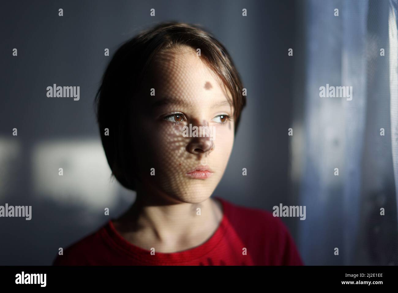 Artistic portrait of a teenage boy, standing next to a window, shadows ...