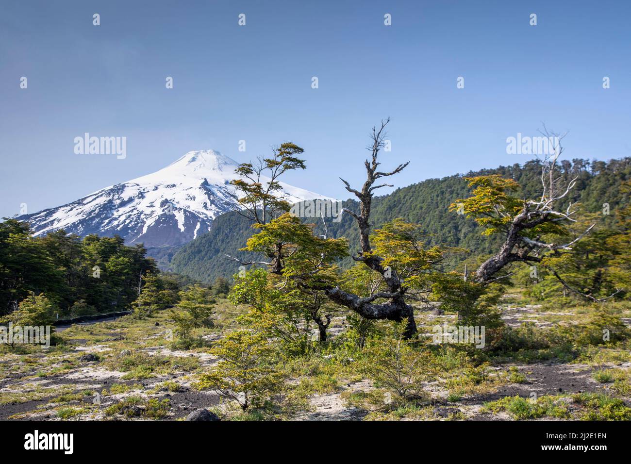 Chile - Villarrica is one of Chile's most active volcanoes, rising ...