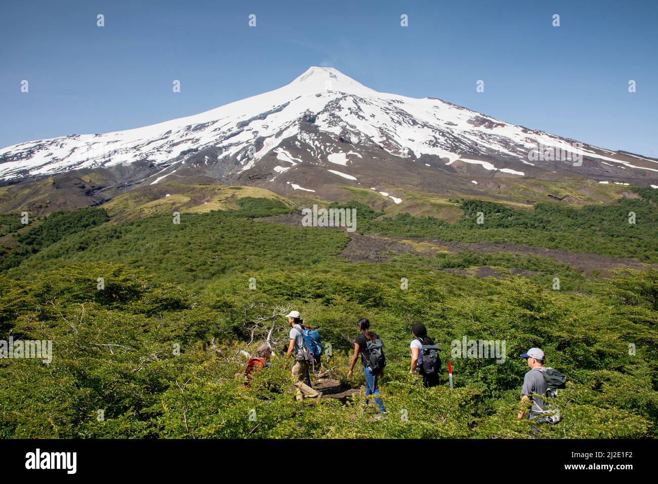 Chile - Villarrica is one of Chile's most active volcanoes, rising ...