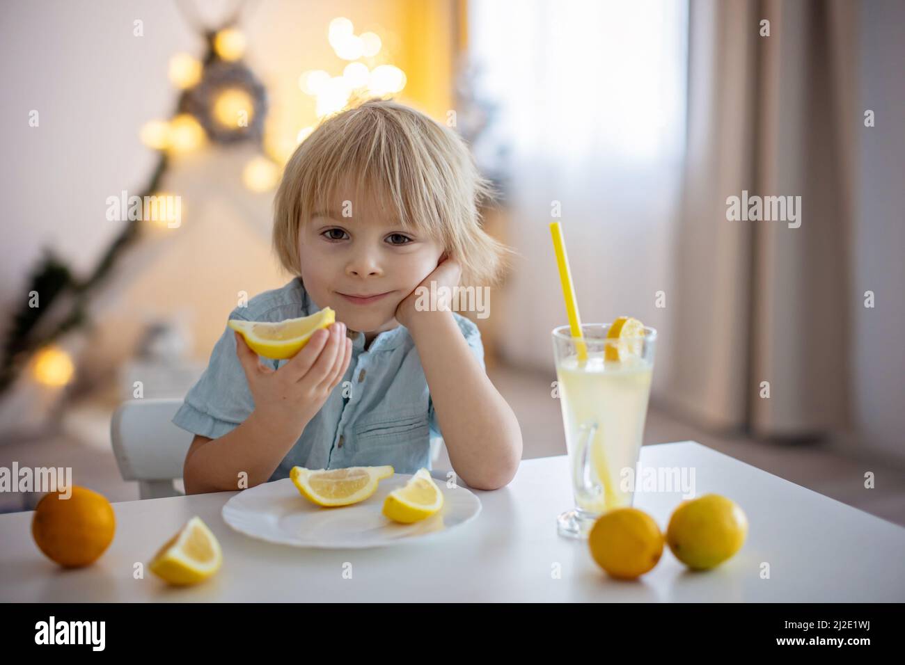 Cute toddler child, blond boy, licking lemons at home and drinking ...
