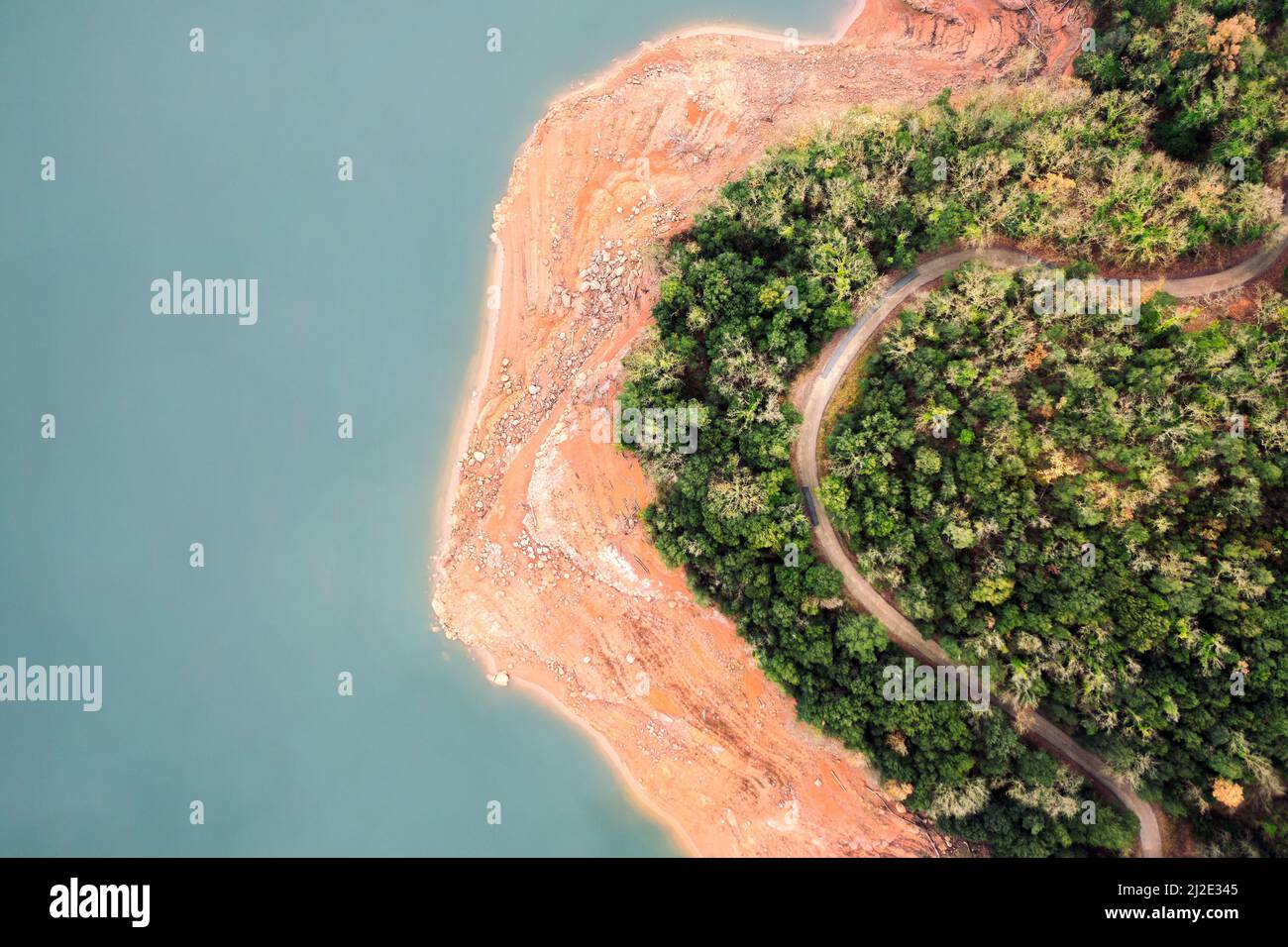 top view of the edge of a swamp next to the forest, drone view, natural ...