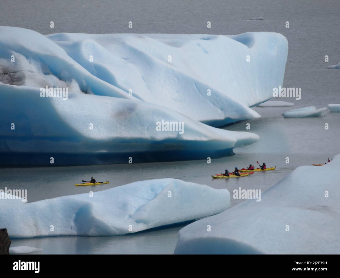 Chile, 22-01-2020, Melted icebergs in the lake in front of the Grey ...
