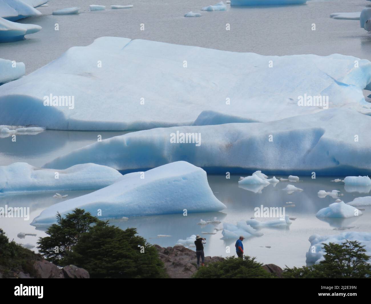 Chile, 22-01-2020, Melted icebergs in the lake in front of the Grey ...