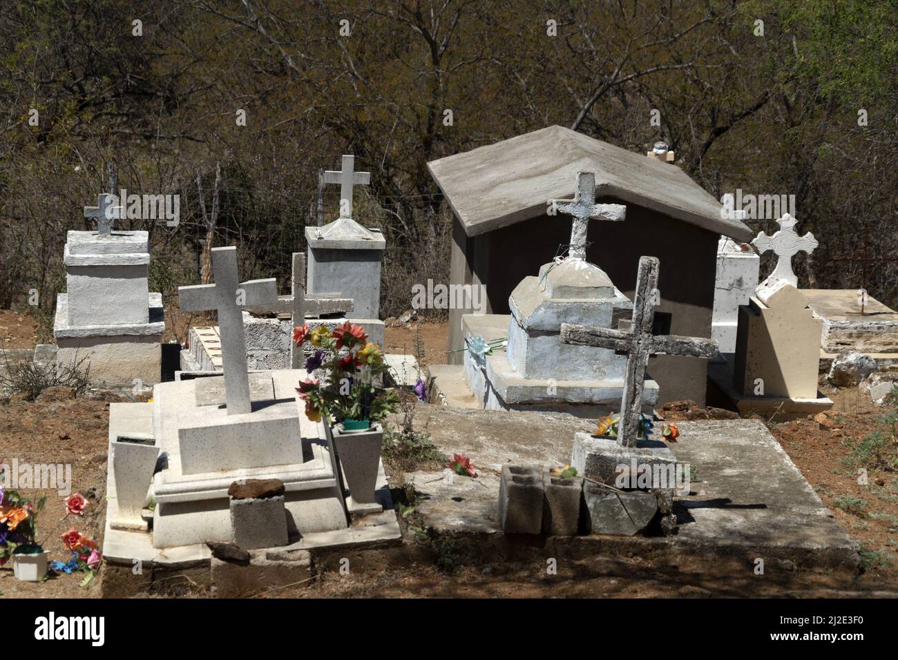 old mexican graveyard tombs in el triunfo mining village baja ...
