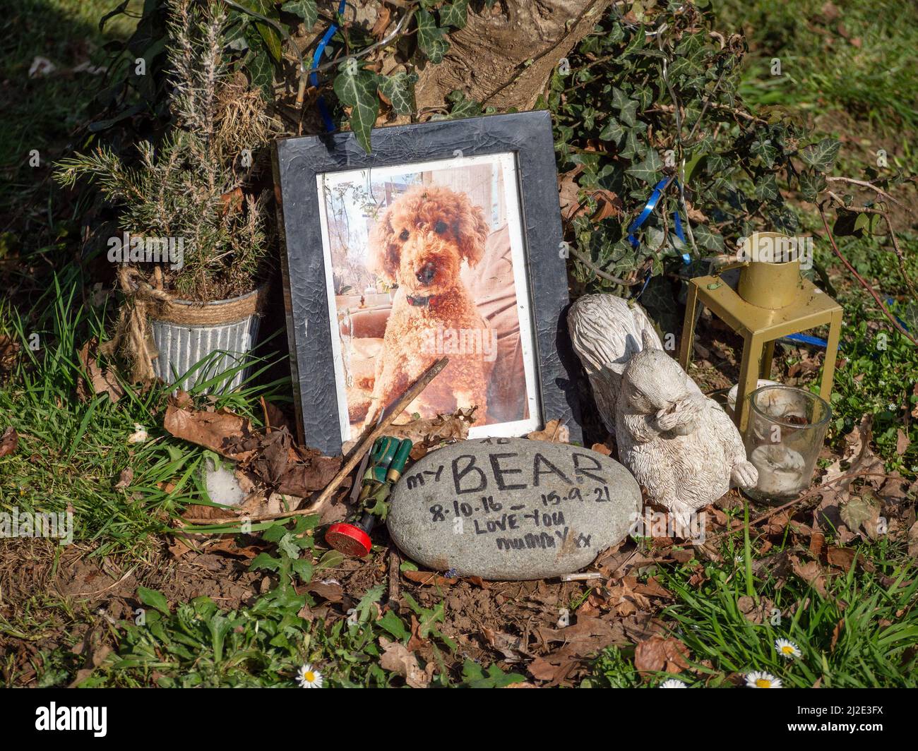 Shrine to a much loved pet dog called Bear, Abington Park, Northampton ...