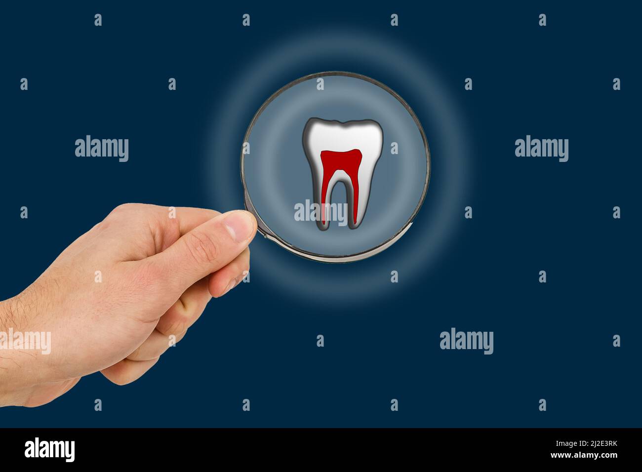 dental care concept, tooth in man hands Stock Photo - Alamy