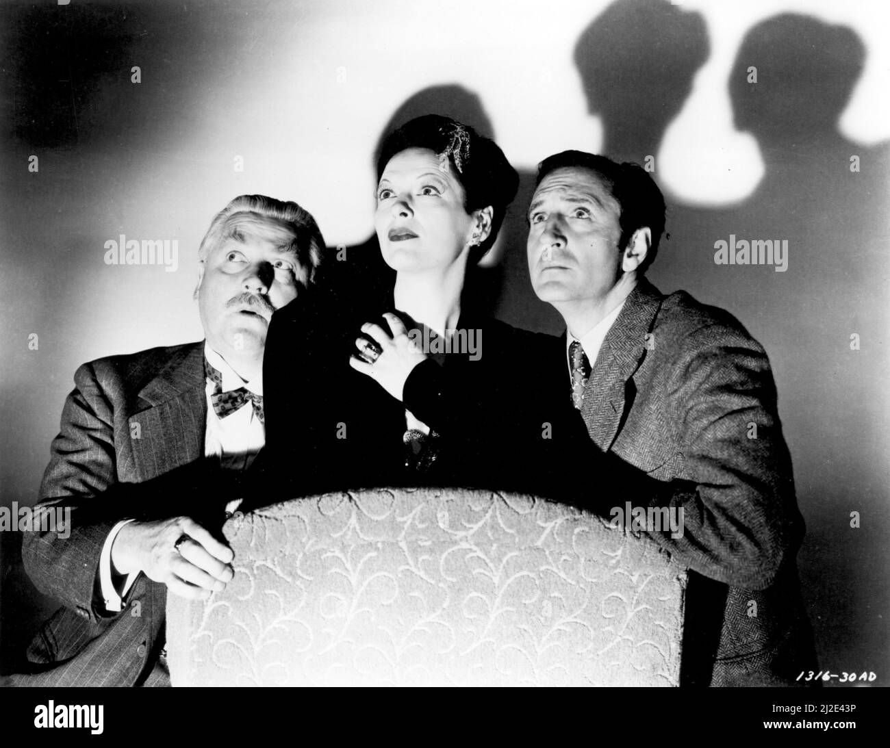 Spider pictures Black and White Stock Photos & Images - Alamy