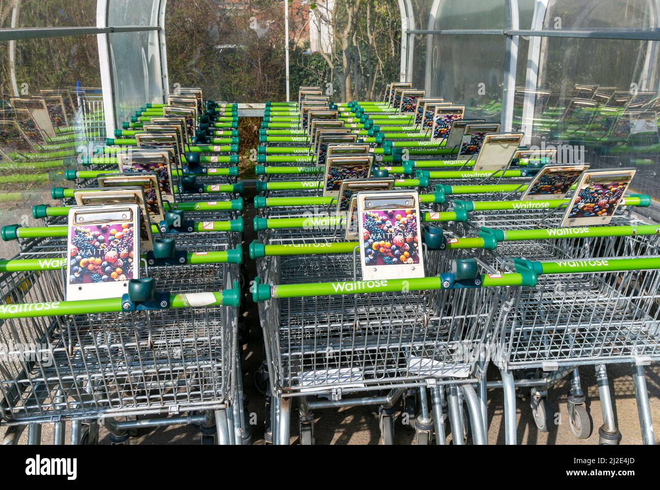 Waitrose supermarket shopping trolleys, Saxmundham, Suffolk, England ...