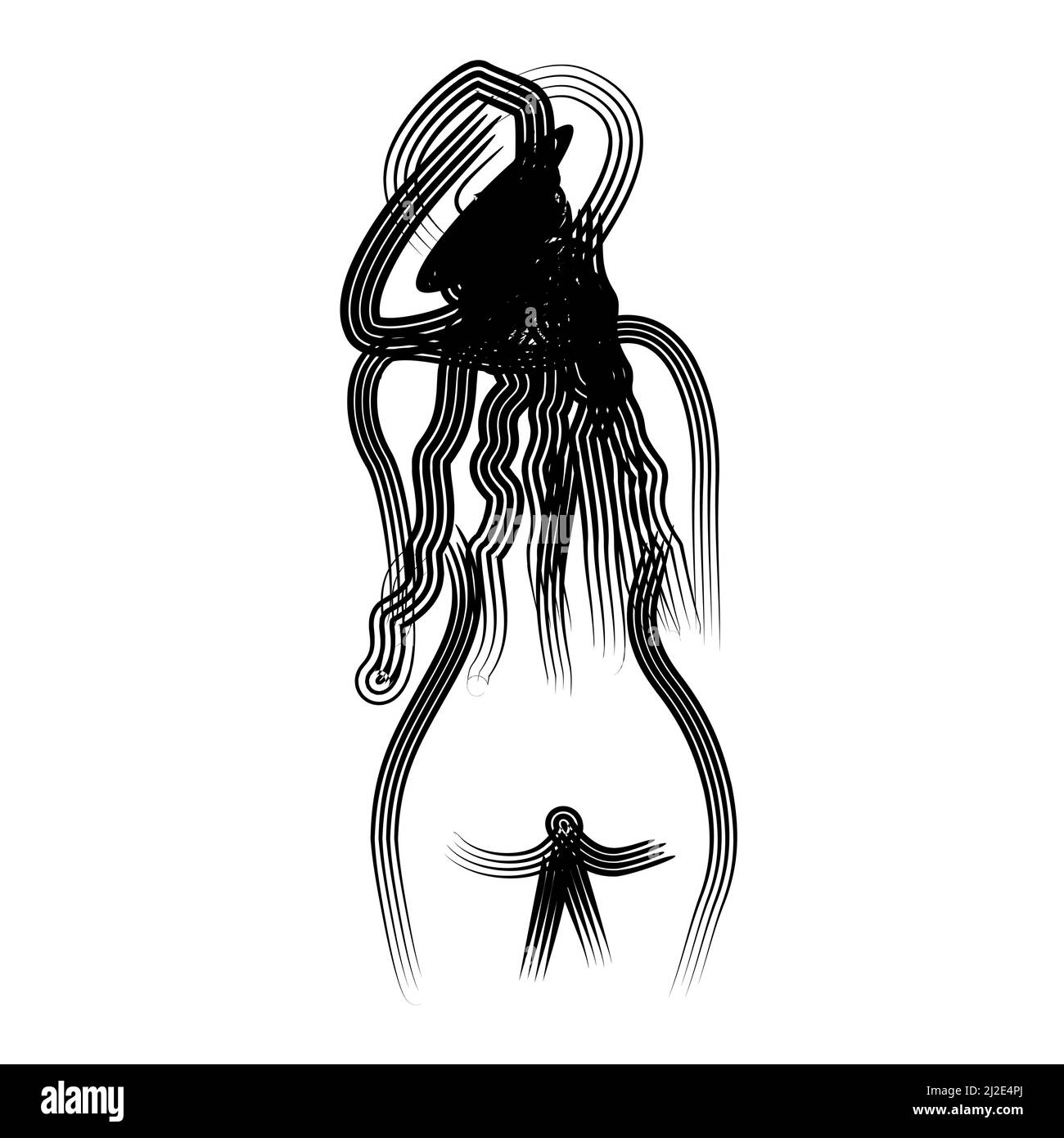 Back view of female body with minimalistic line sketch. Vector ...