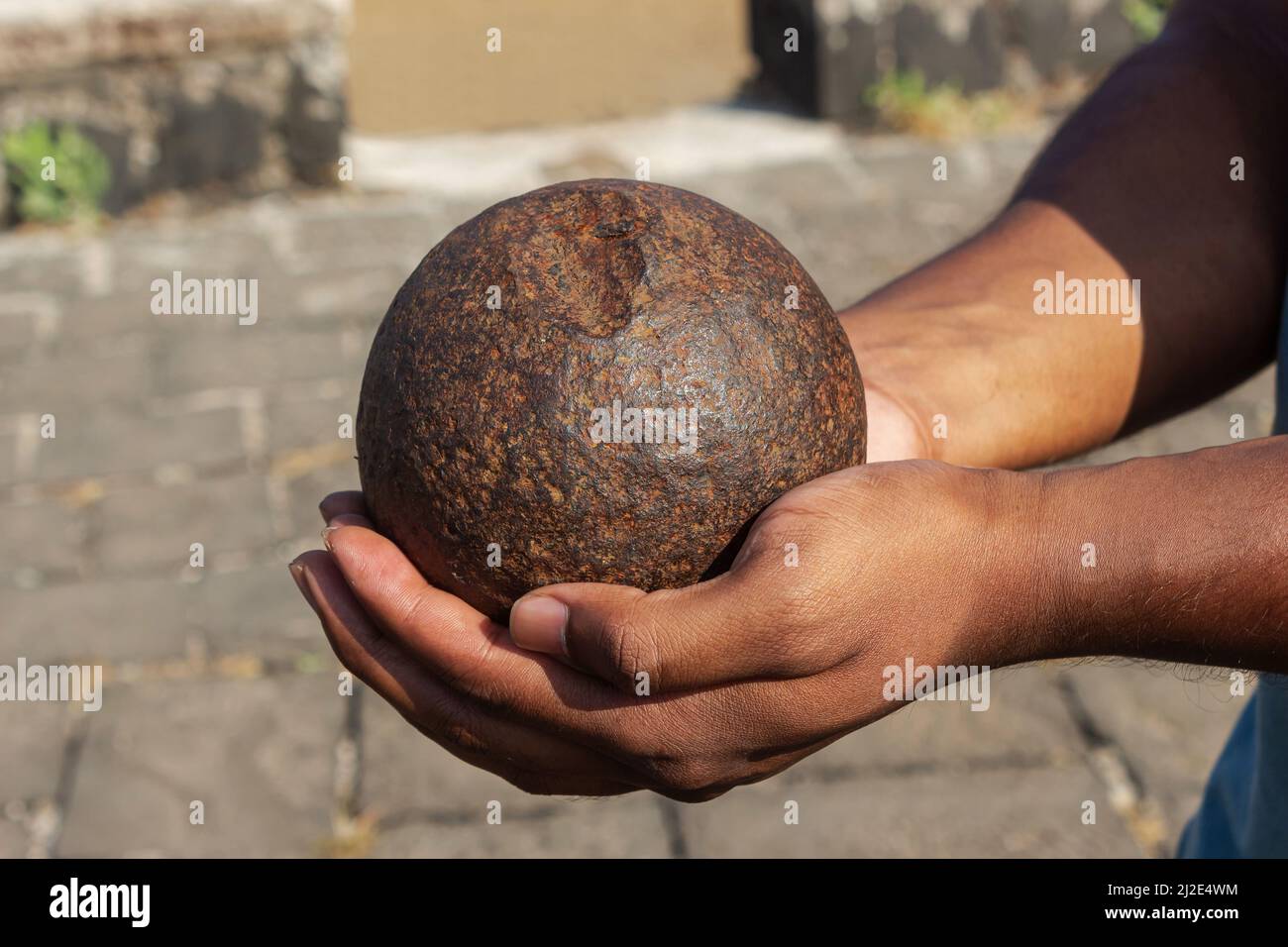 Man holding cannonball In hand, Korigad fort, Pune, Maharashtra, India ...