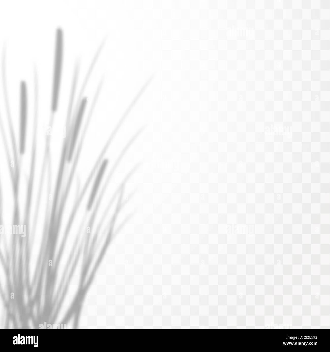 The effect of overlaying shadows. Natural light layout.Realistic shadow ...
