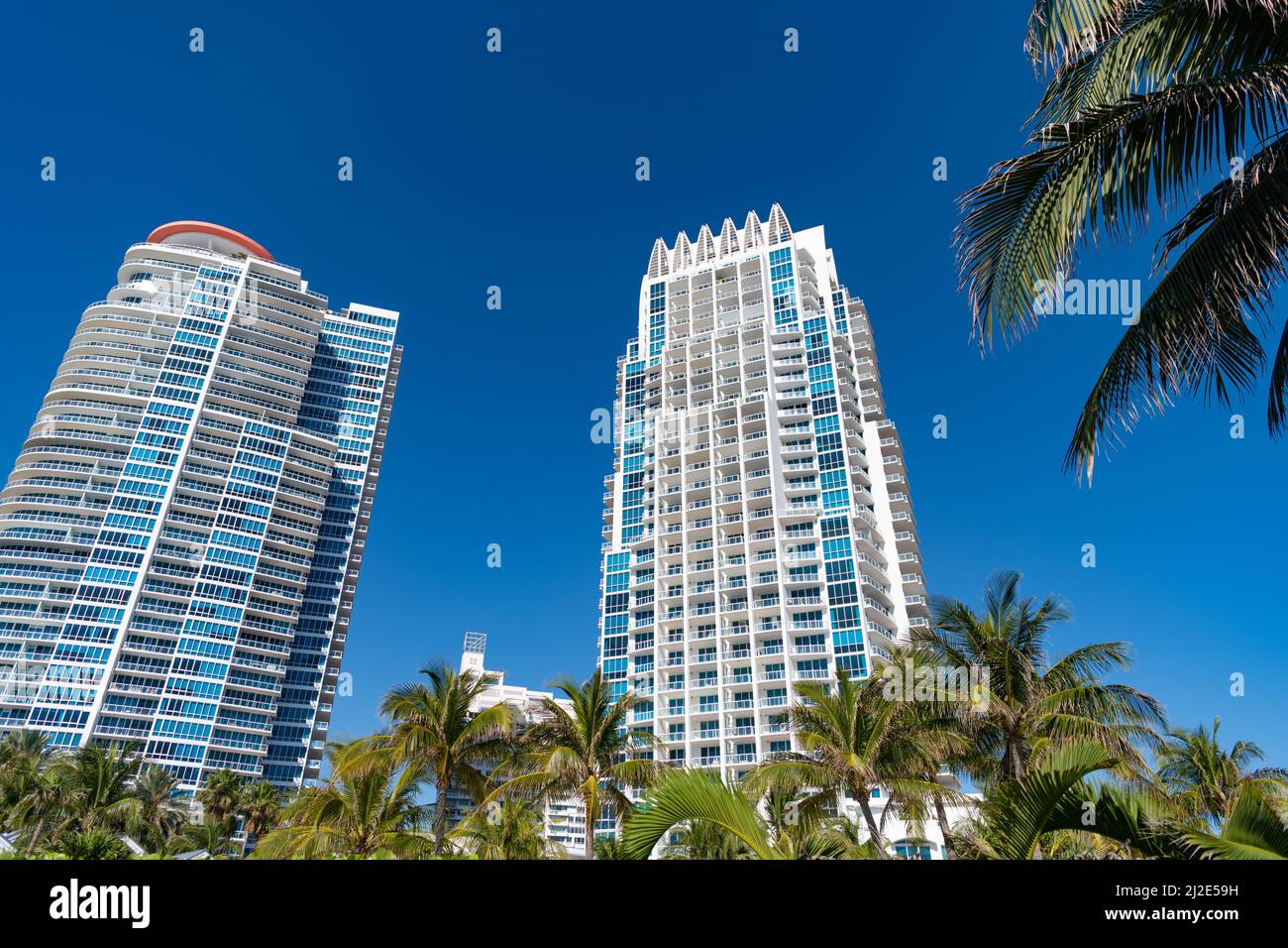 High-rise buildings modern urban architecture and palms on blue sky in ...