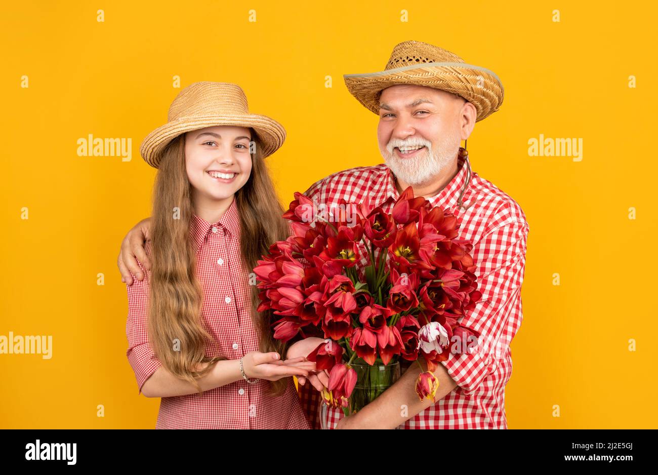 smiling old grandfather with granddaughter hold tulip flowers on yellow ...
