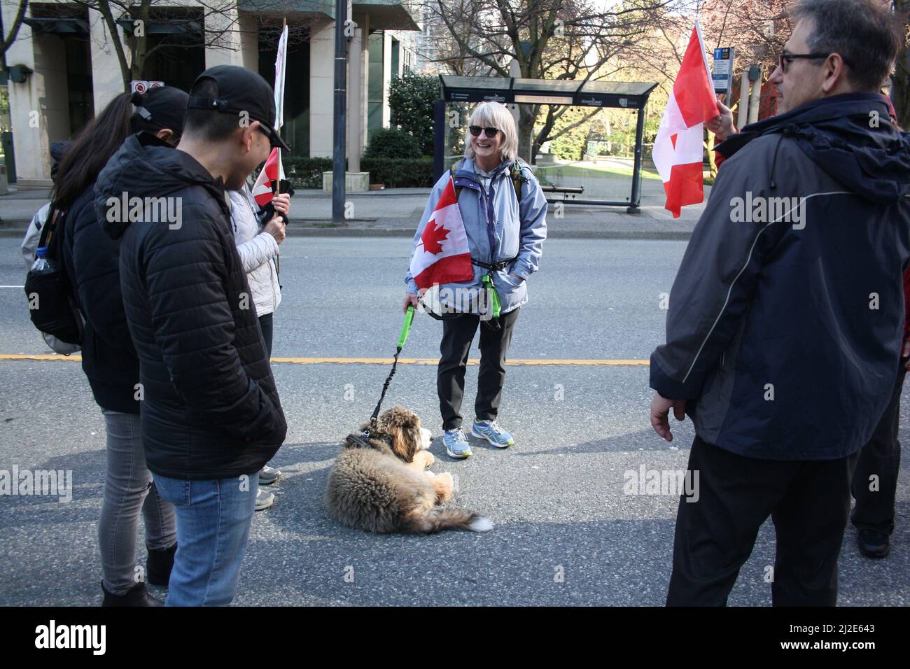 People and dog in the street of Vancouver, British Columbia, Canada ...