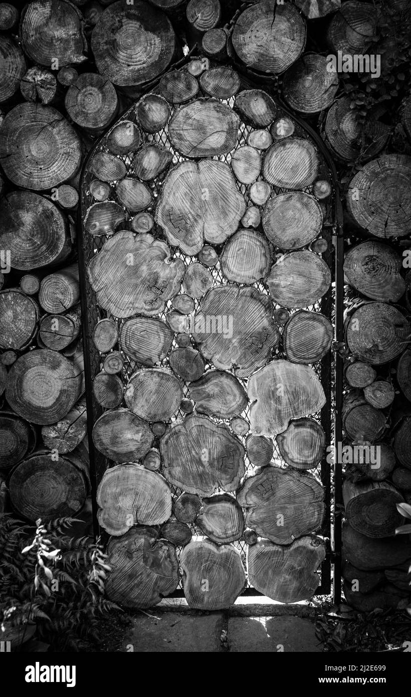 A grayscale vertical view of stacked wood logs Stock Photo - Alamy
