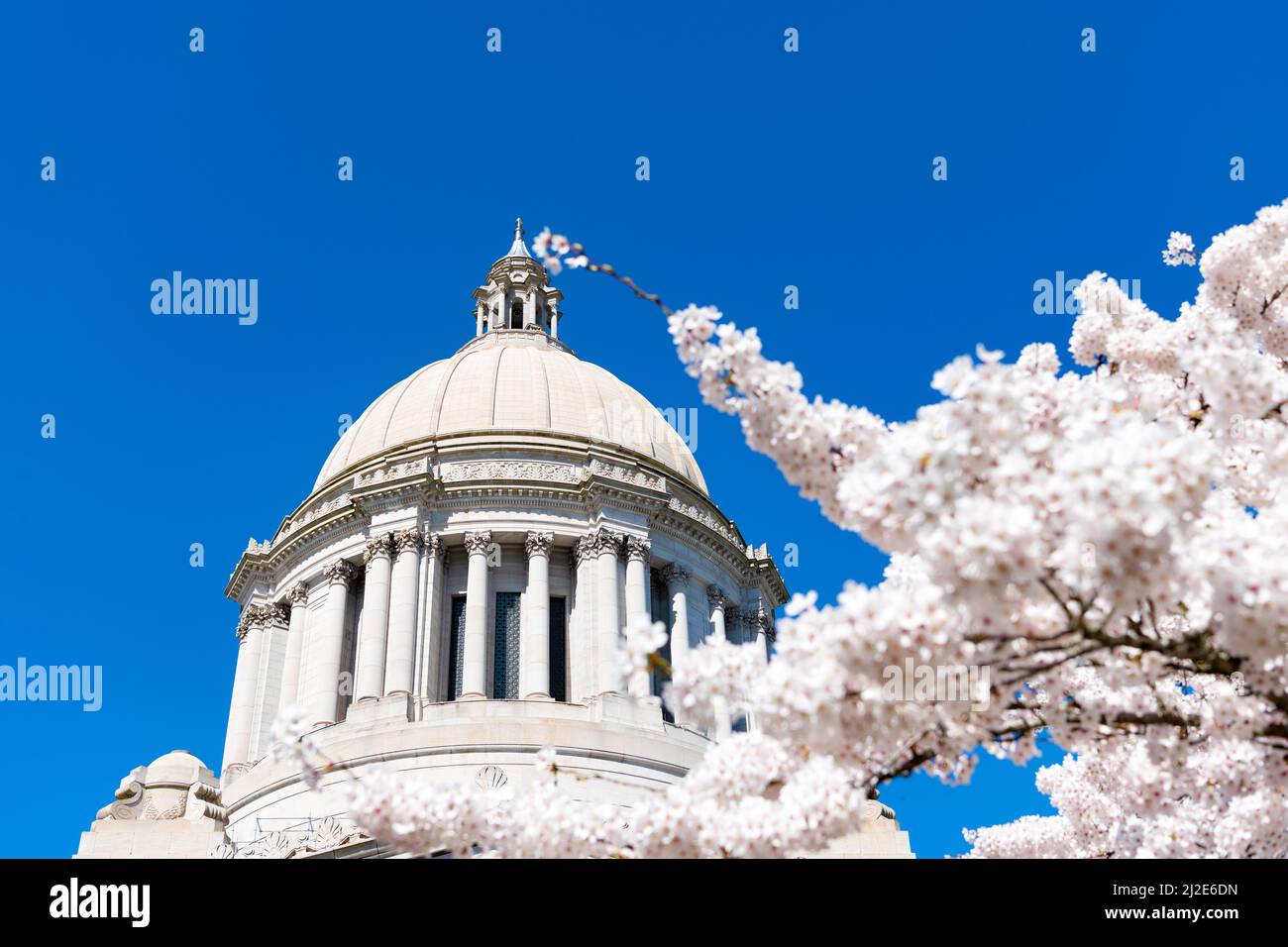 Us capitol with summer flowers hi-res stock photography and images - Alamy