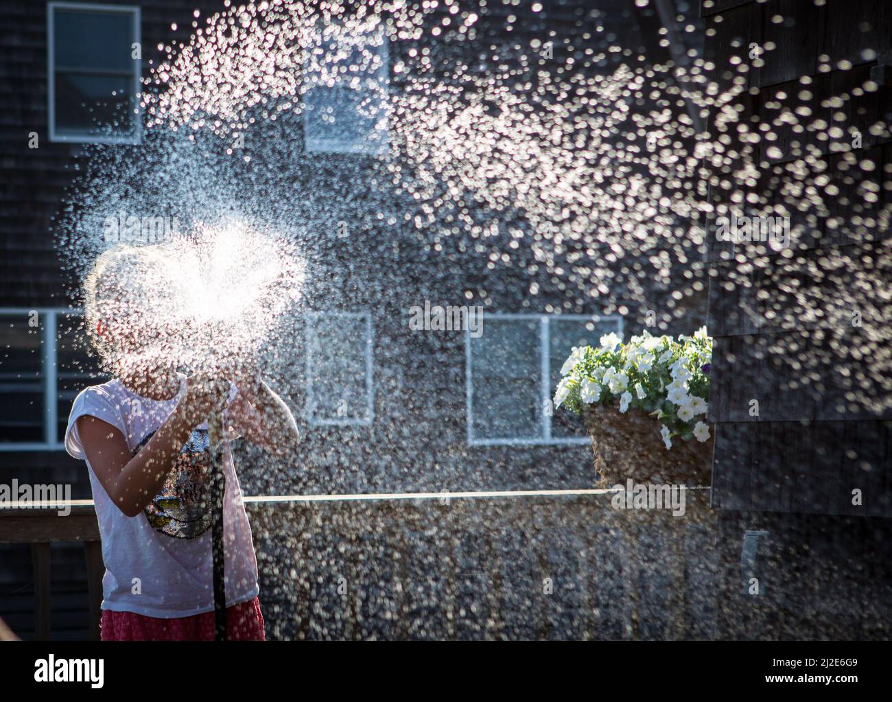 A kid playing with the sprinkle hose with waterdrops in the air Stock ...
