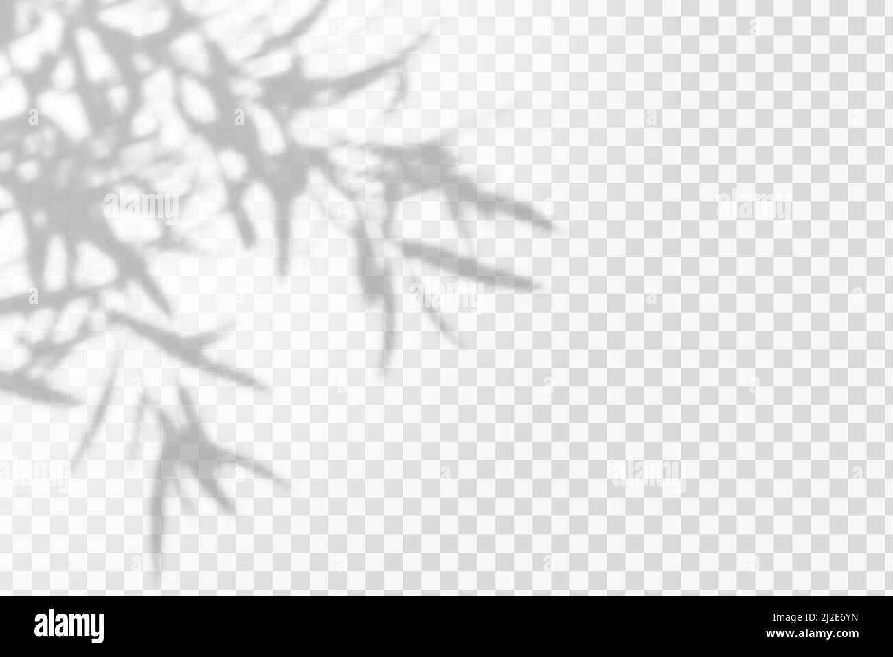 The effect of overlaying shadows. Natural light layout.Realistic shadow ...