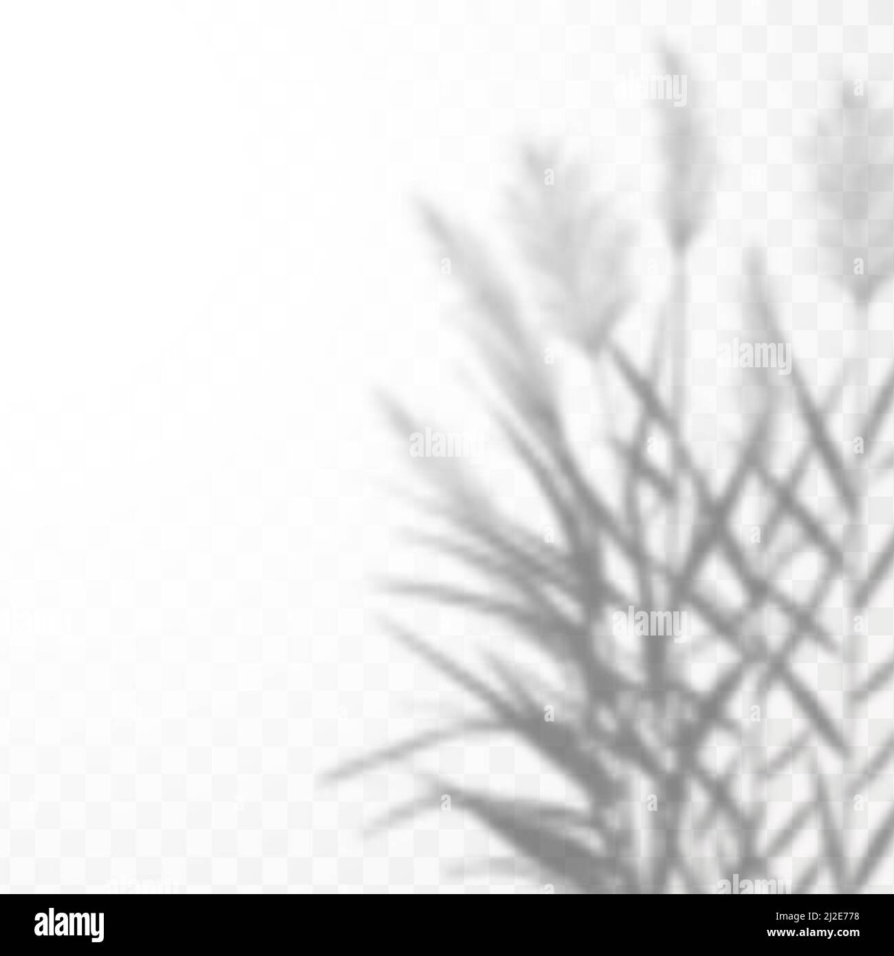 The effect of overlaying shadows. Natural light layout.Realistic shadow ...