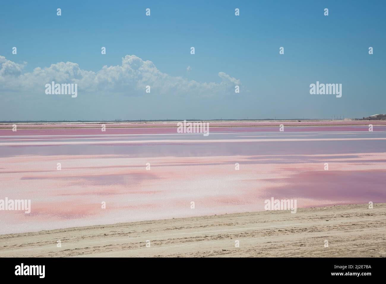 Pink lake formed from the salt creating vast plain with various shades ...