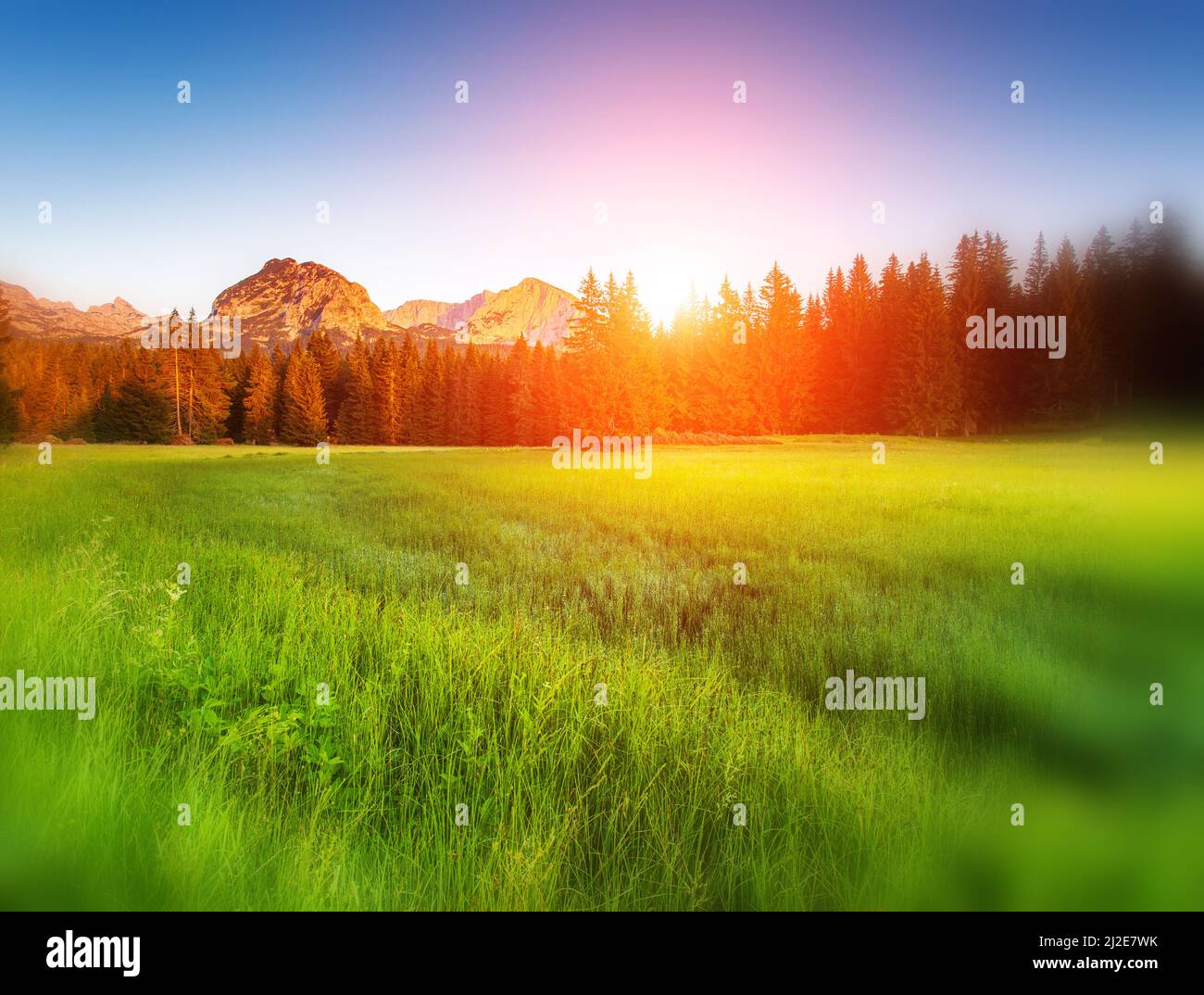 Wonderful view to mountains in the national park Durmitor in Montenegro ...